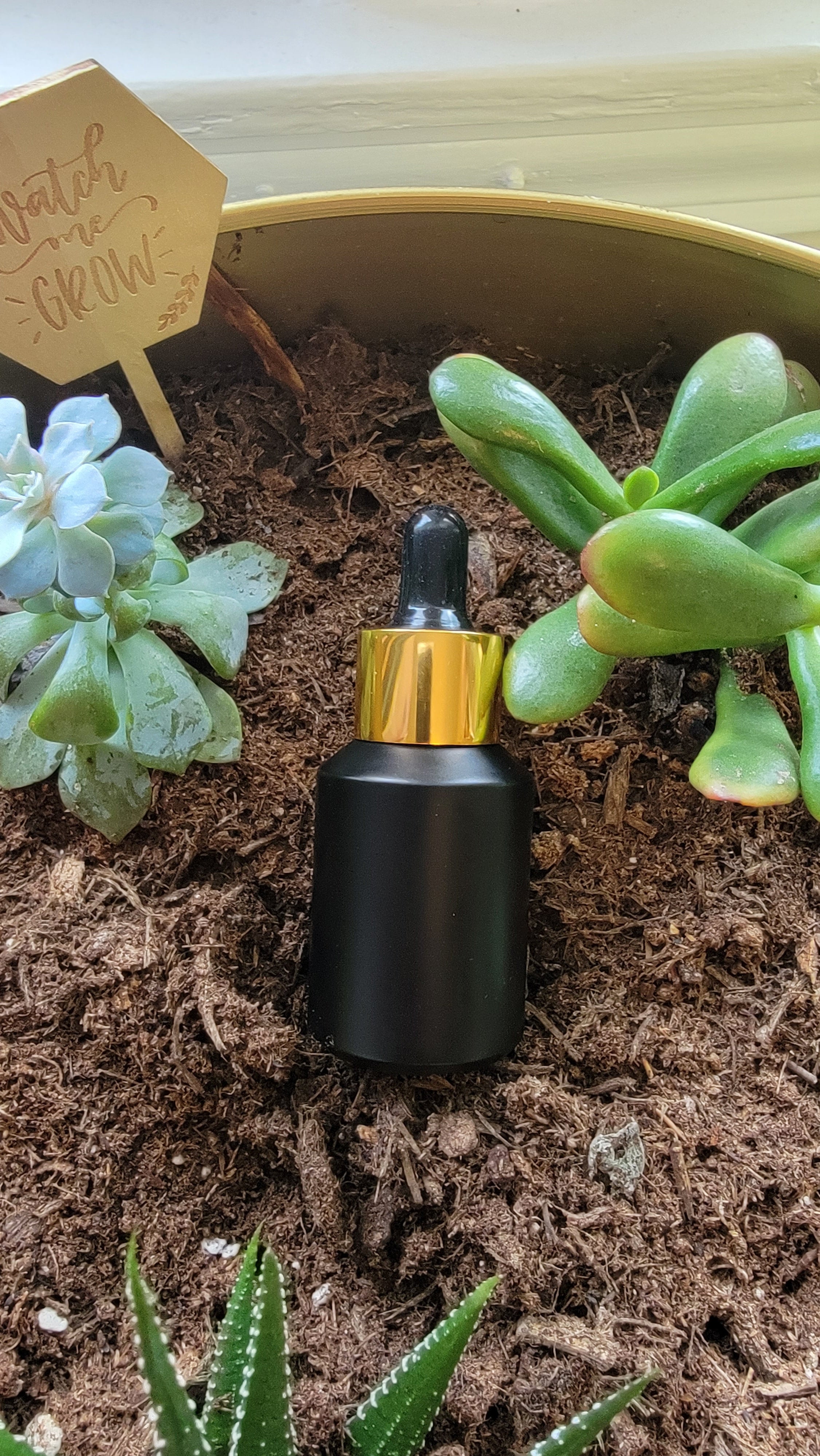 LOVELT ESSENCE | Lovely Essence